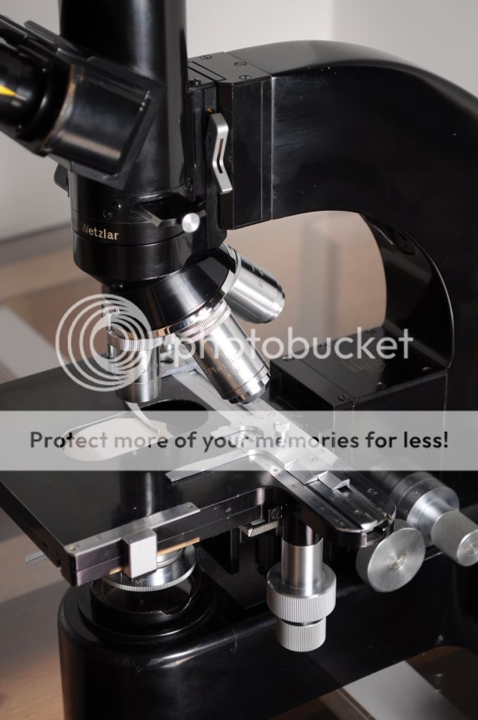 Leitz Ortholux 1 rebuilt - www.photomacrography.net