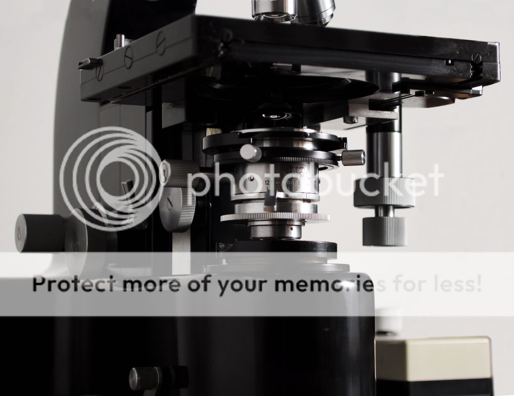 Leitz Ortholux 1 rebuilt - www.photomacrography.net