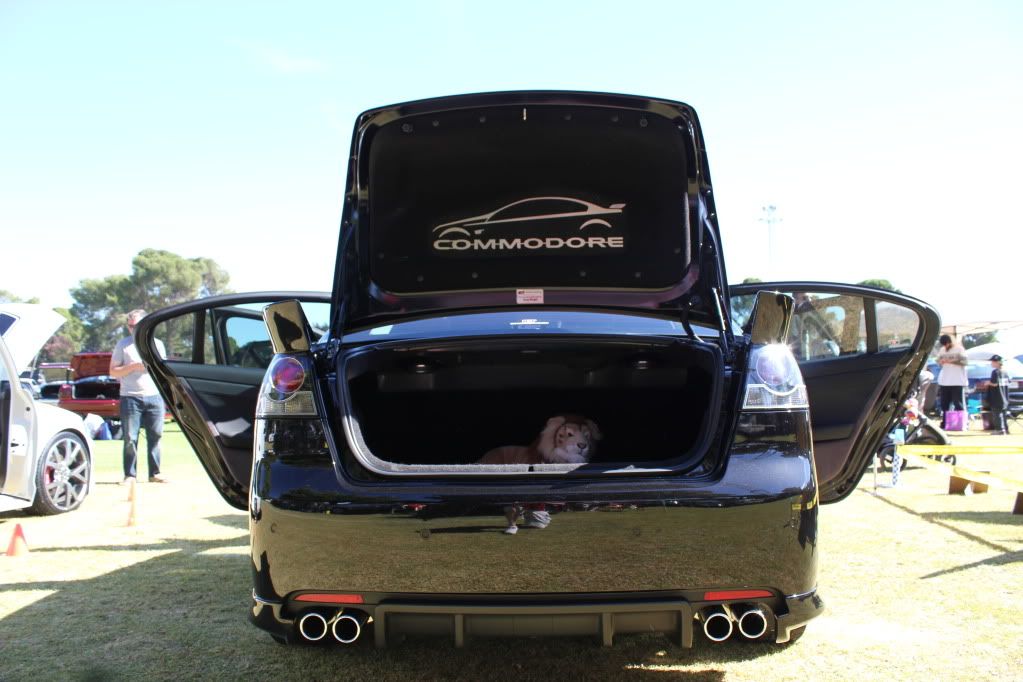 Gxp rear bumper and diffuser | Pontiac G8 Forum