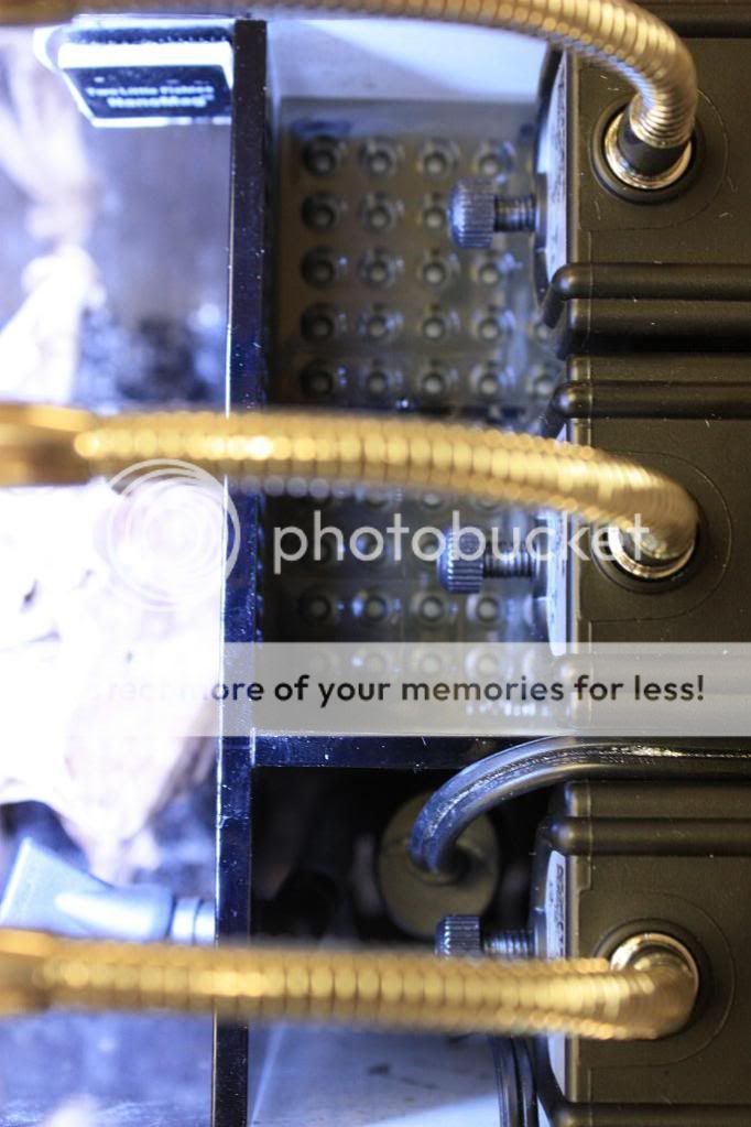 Big Al's IQ3 FW Build :) | British Columbia Aquarium Forums