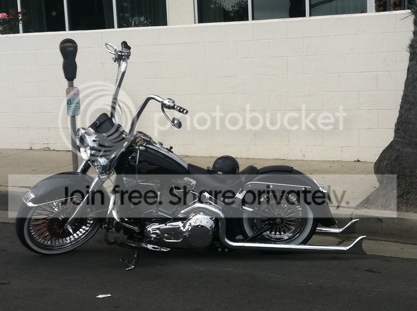 Samson Baby Cholo's (36") on my fatboy! They look and sound great ...